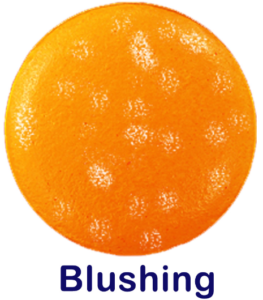 Common tablet defects at coating stage – tech-publish